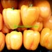 Sunbright, Heirloom Sweet Bell Pepper Seeds Open Pollinated Vegetable ...
