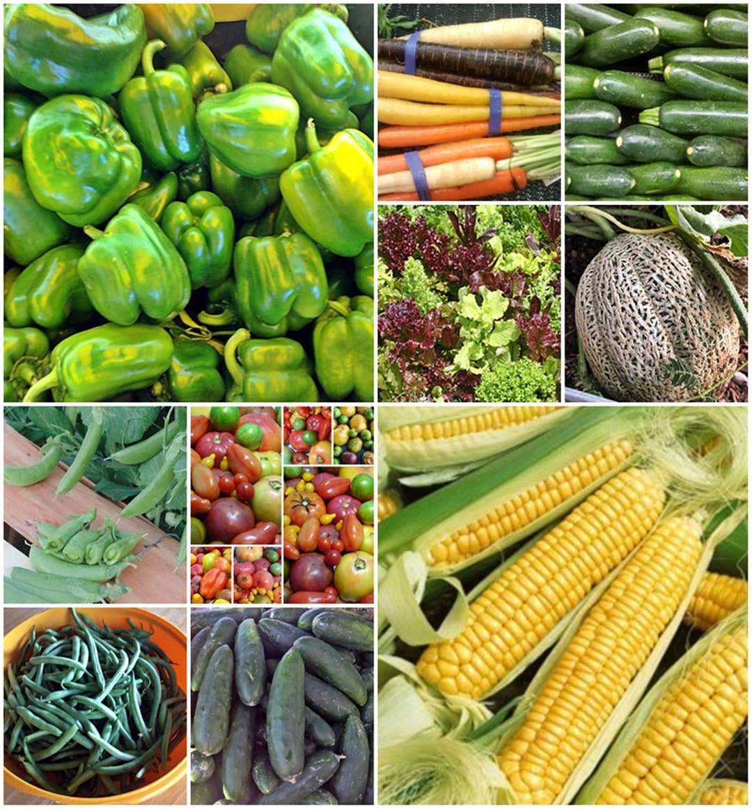 Vegetable Garden, Seed Kit, Heirloom Garden Seeds Open Pollinated ...