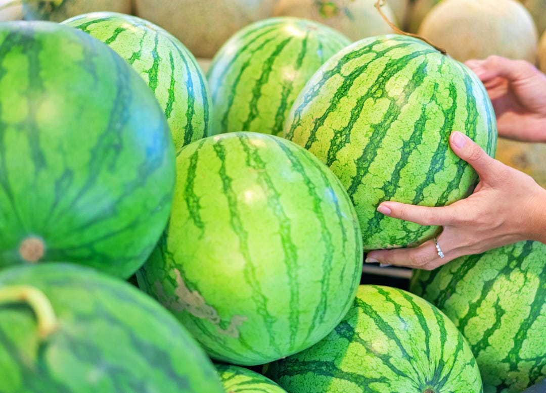 Dixie Queen, Watermelon, Heirloom Garden Seeds Sweet Watermelon Seeds ...