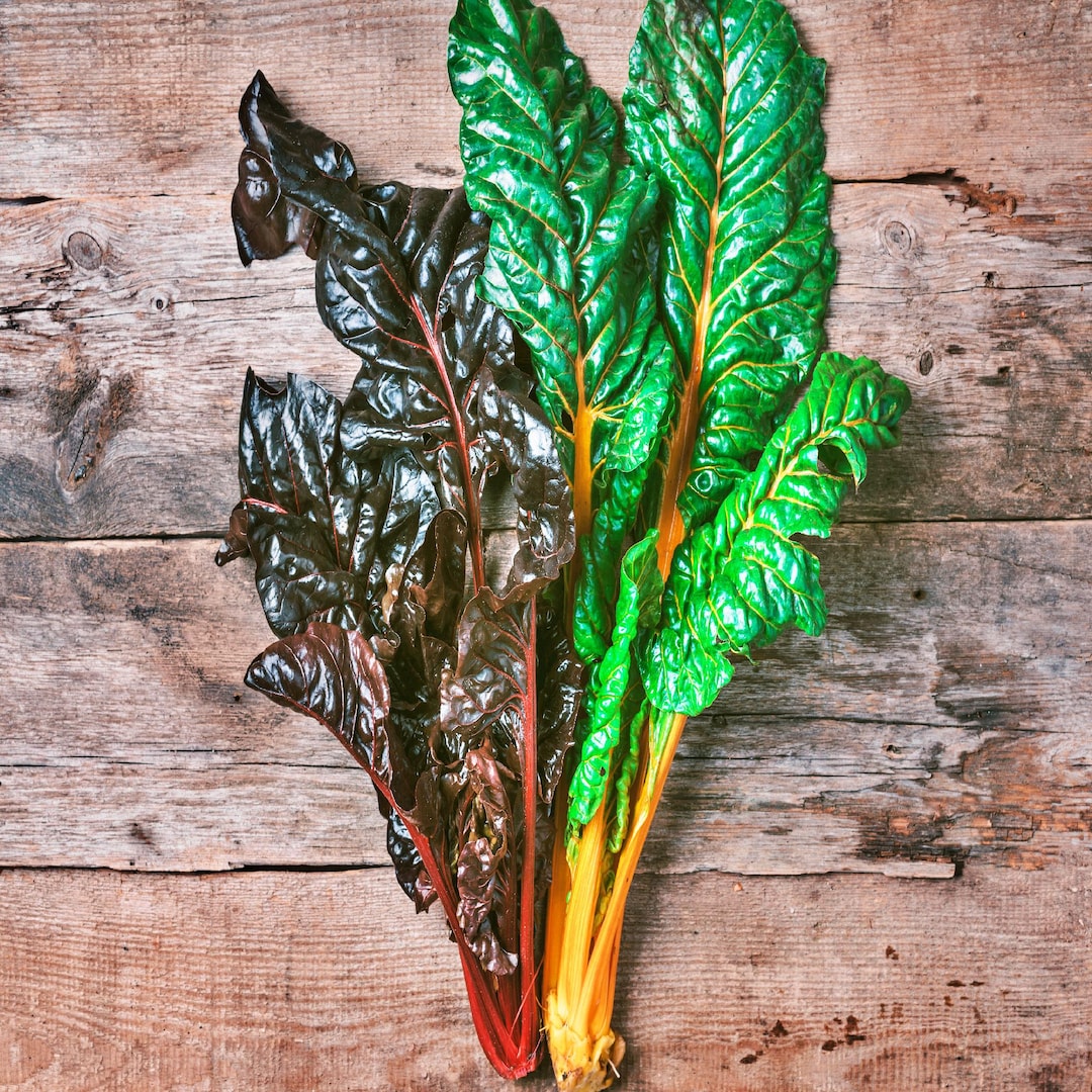 Five Color Silverbeets, Australian Swiss Chard, Heirloom Seeds, Open Pollinated Container ...