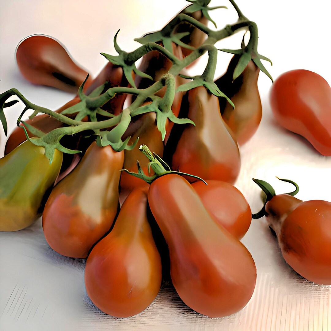 Chocolate Pear, Tomato, Heirloom Seeds, Sweet Early Grown to Organic ...