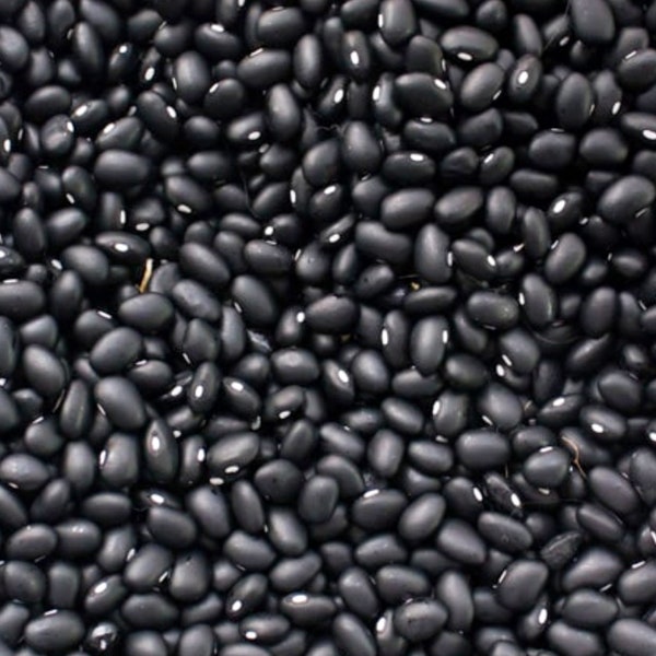 Black Turtle Beans - Etsy