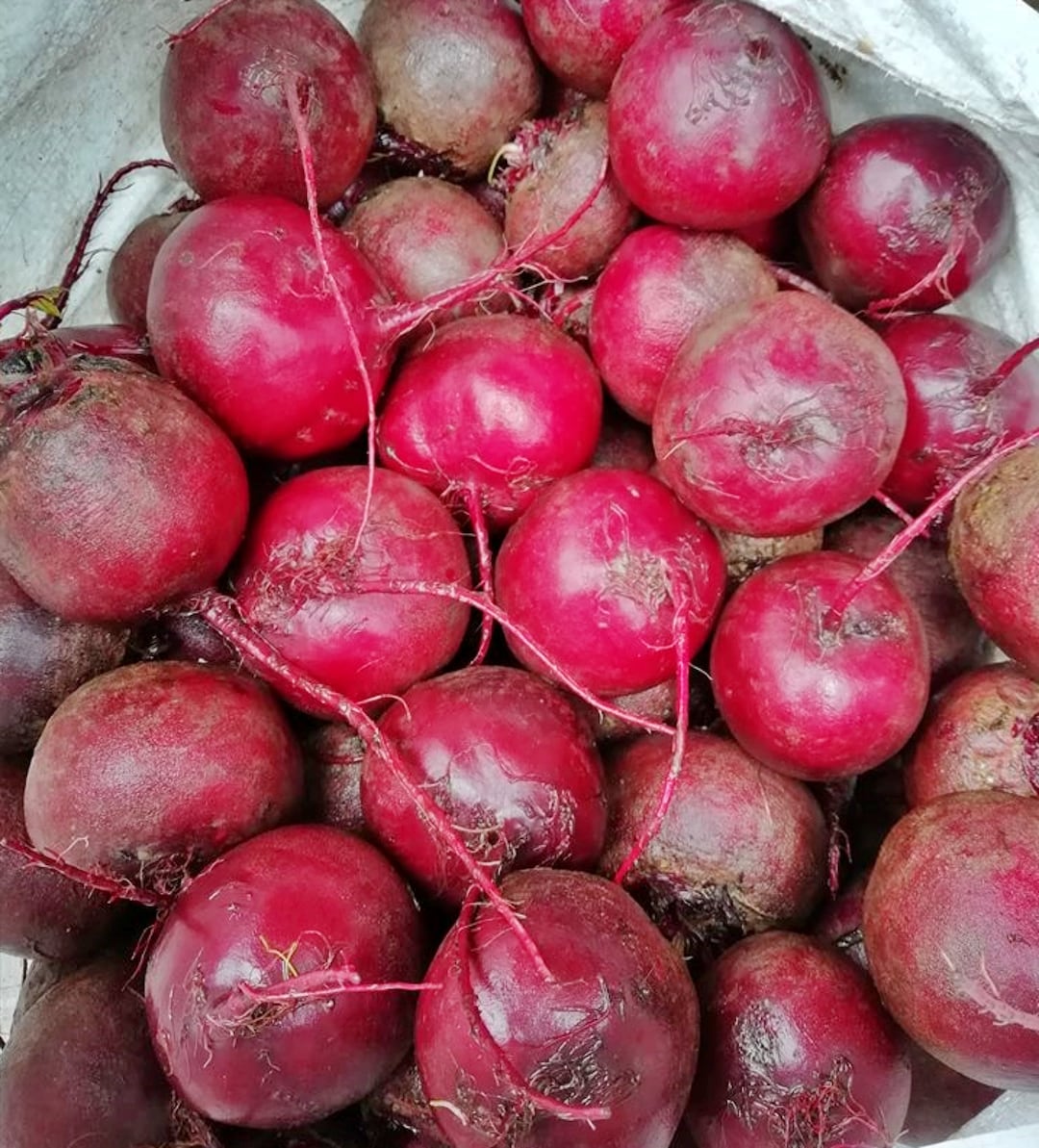Detroit Dark Red, Beets, 200 Heirloom Garden Seeds Early Variety Open ...