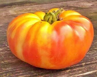 Virginia Sweets Tomato Seeds - Etsy