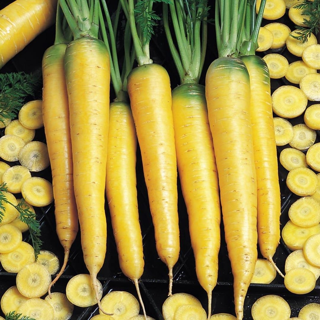 Yellowstone, Carrot, Heirloom Garden Seeds Open Pollinated Container ...