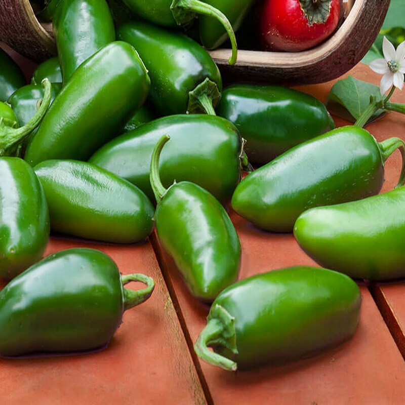 Rare Vegetable Seeds - Etsy