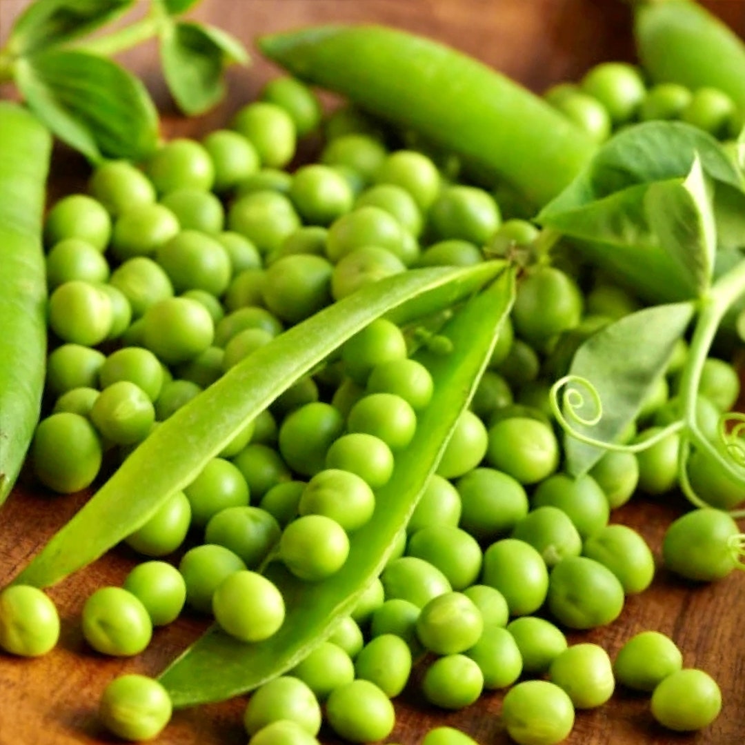 Thomas Laxton, Peas, Heirloom Garden Seeds High Yielding Tender Sweet ...
