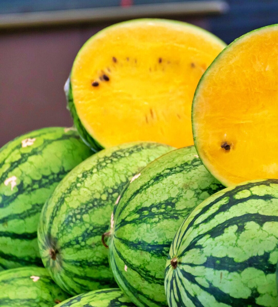Yellow Gem Sweet, Watermelon Seeds: Heirloom Open Pollinated Non-gmo - Etsy