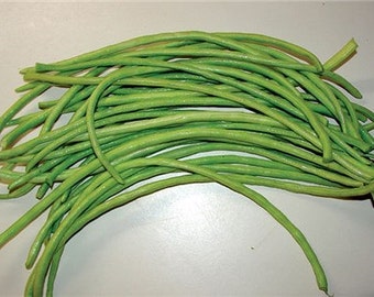 Seeds Light Green Yard long Asian Noodle Beans Heirloom Vegetable Seeds ...