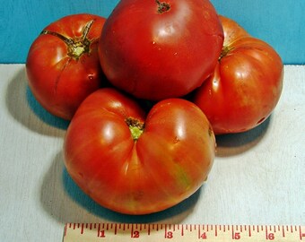 USA SELLER German Strawberry Tomato 25 Seeds HEIRLOOM Solanum - Etsy