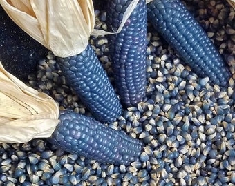 Mushroom Round Ball Popcorn Seeds - Etsy