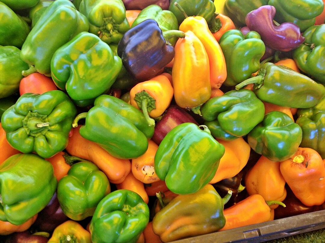 Gourmet Rainbow, Sweet Bell Pepper Mix, Heirloom Seeds, Vegetable Seeds ...