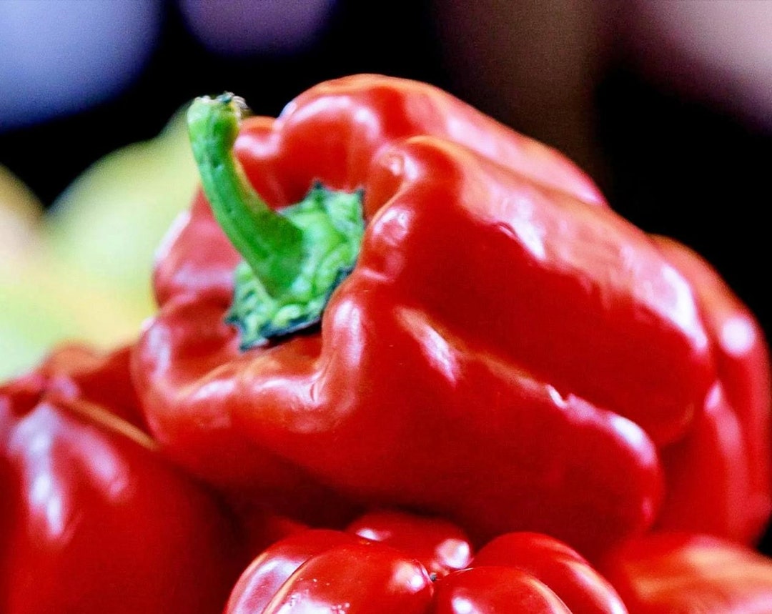 Cal Rose Red, Sweet Pepper, Heirloom Garden Seeds Seeds USA Seller Non ...