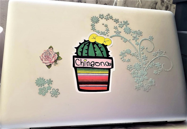 CHINGONA VINYL DECAL Cactus Bow Zarape in Pot Laptop Decal - Etsy
