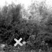 5.99 5 TRAIN TRACKS Photography Sepia and Black and White - Etsy