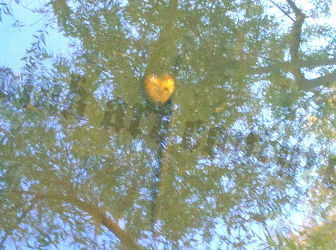 Hearts-photography Broken Heart Cloud Heart Heart Under - Etsy