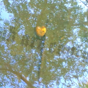 Hearts-photography Broken Heart, Cloud Heart Heart Under Water, Heart ...