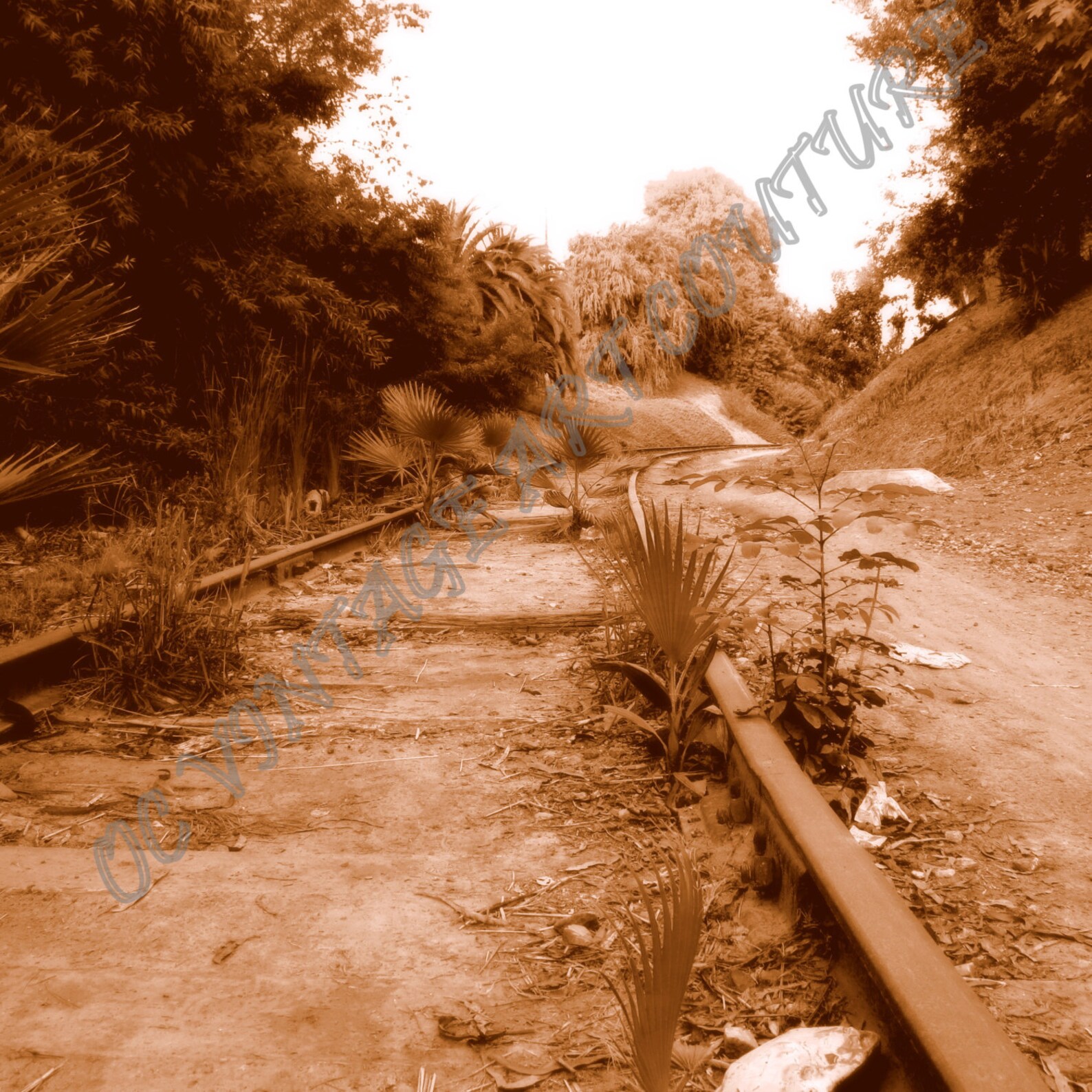 5.99 5 TRAIN TRACKS Photography Sepia and Black and White - Etsy