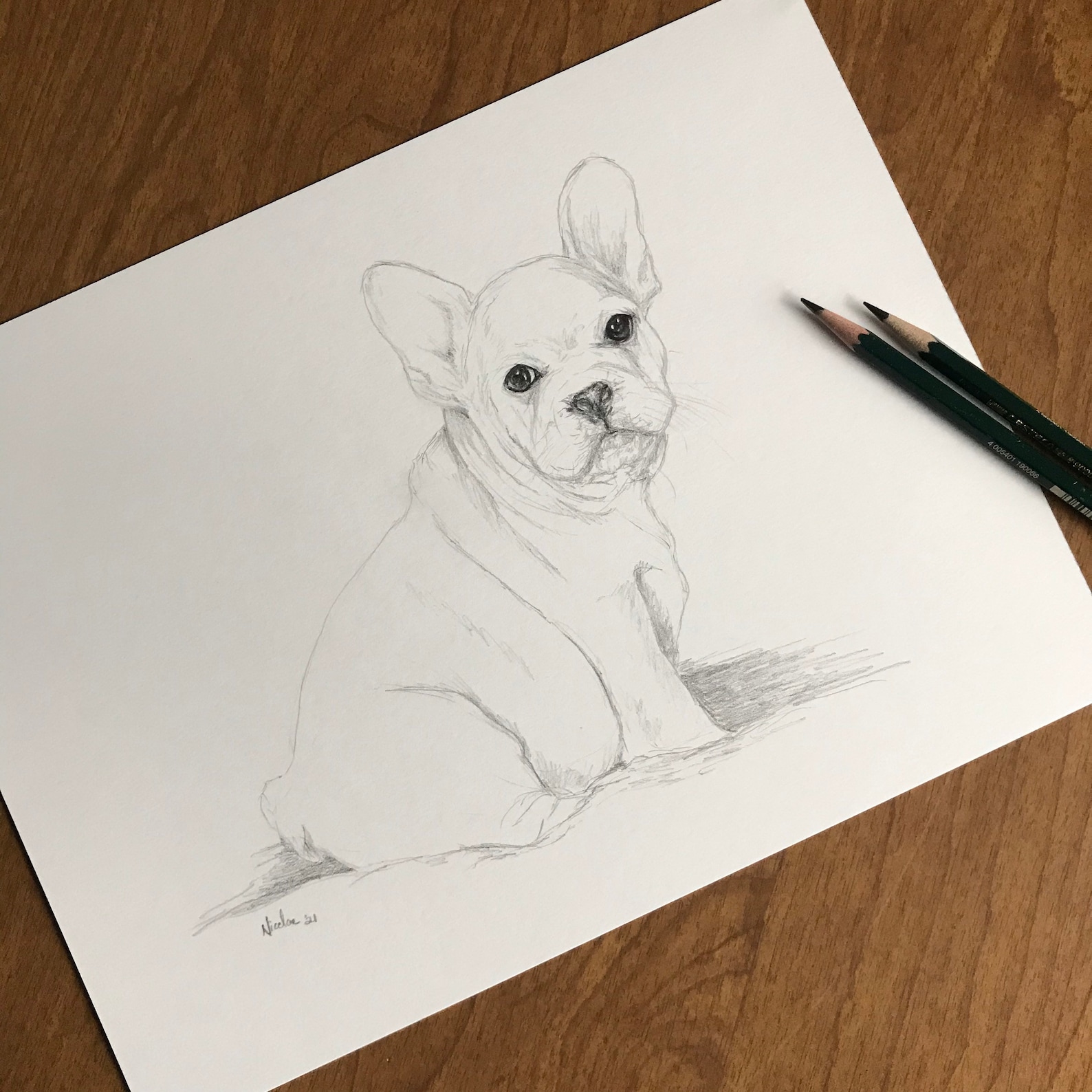 Original Dog Pencil Drawing Nicolae Art Animal Artist Nicole - Etsy