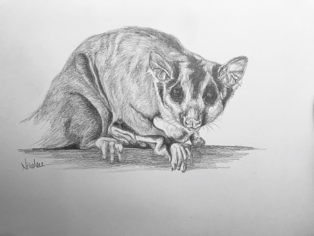 Original Pencil Drawing Nicolae Art Animal Artist Nicole Smith ...