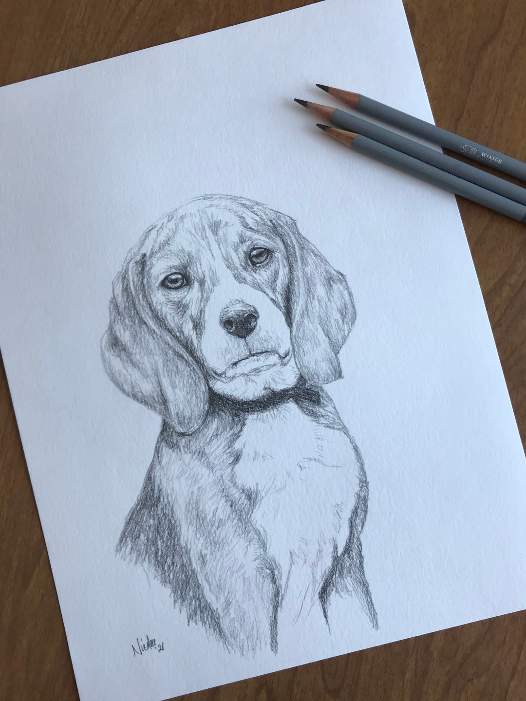 Original Dog Pencil Drawing Nicolae Art Animal Artist Nicole Smith ...