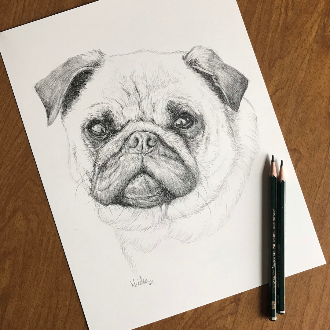 Original Dog Pencil Drawing Nicolae Art Animal Artist Nicole - Etsy