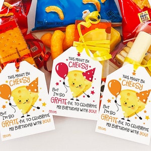 Printable Birthday Snack Tag Classroom Birthday Treat Tag Cheese Snack ...