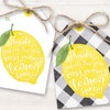 Printable Back to School Fruit Rolls Fruit Tags First Day of School ...