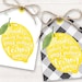 Printable Back to School Fruit Rolls Fruit Tags First Day of School ...
