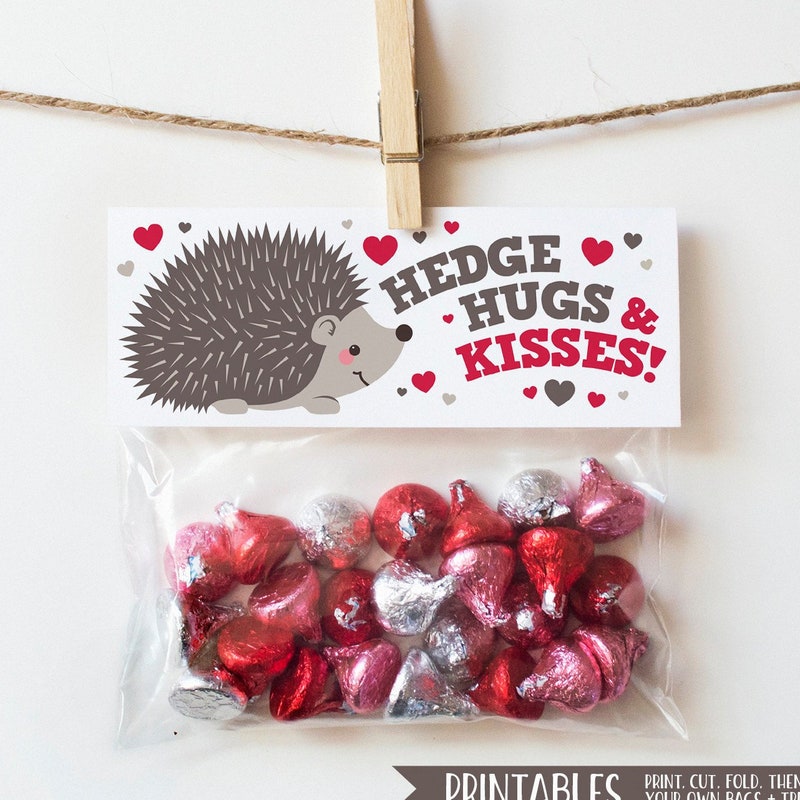 Hedgehog Cards - Etsy