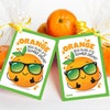 Printable Back to School Fruit Rolls Fruit Tags First Day of School ...