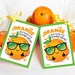 Printable Back to School Fruit Rolls Fruit Tags First Day of School ...