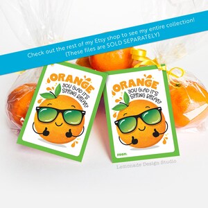 Spring Break Treat Printable Treat Tag Roll up Fruit Snack Tags ...
