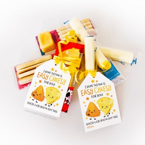 Printable Testing Day Snack Tag Classroom Treat Tag Cheese Snack Good ...