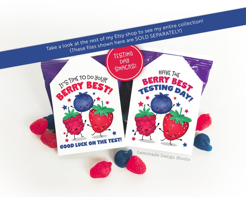 Printable You're One Smart Cookie Classroom Treat Tag Gift Tag Testing ...