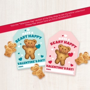 Kids Valentines for School Kids Valentine Cards Teddy Bear Grahams ...