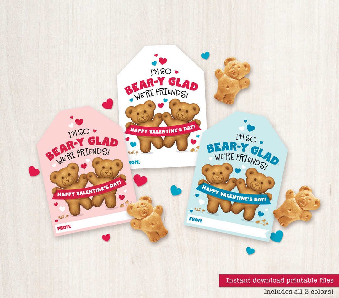 Kids Valentines for School Kids Valentine Cards Teddy Bear Grahams ...