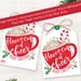 Hot Chocolate Bomb Tags Printable Hot Cocoa Bomb Instructions Printable ...