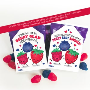Classroom Birthday Treat Tags for School Berry Fruit Snack Tags ...