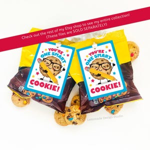 Printable You're One Smart Cookie Classroom Treat Tag Gift Tag Testing ...
