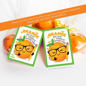 Printable Freeze Pop Good Luck Tags Testing Day Tags Keep Your Cool Ice ...