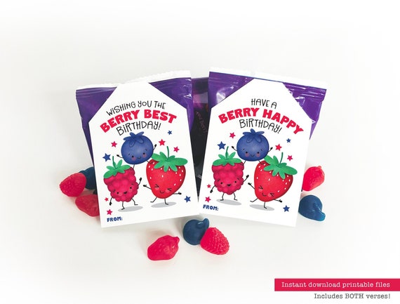Kids Happy Birthday Treat Tags for School Berry Fruit Snack Tags ...