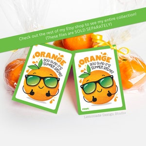 Printable Last Day of School Fruit Rolls Fruit Have a Sweet Summer ...