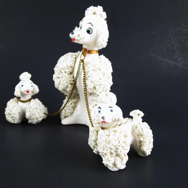 Spaghetti Poodles - Etsy