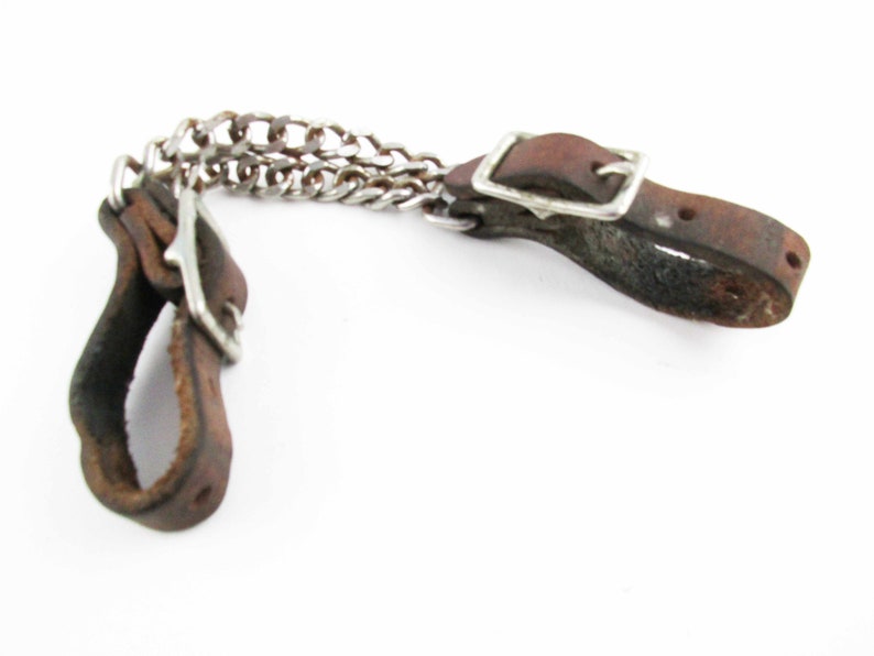 Rustic Display Western-style Spurs with Rowels Bridle Chin | Etsy