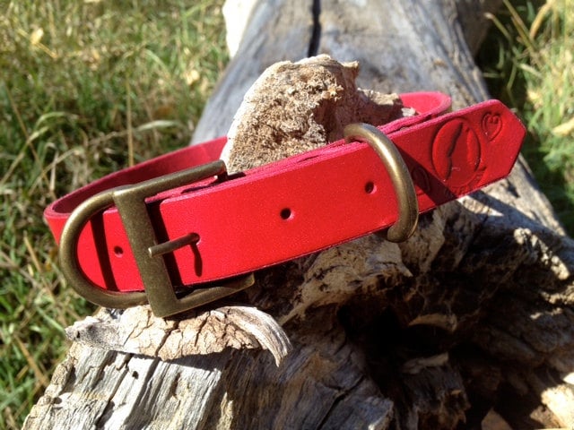Leather Dog Collar Made With Love...and Rhinestones. Red 1" Band With ...