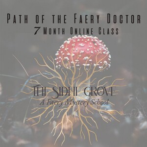 FAERY DOCTOR Seven Month Online Course Faery Healing - Etsy