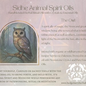 The Owl Sidhe Animal Spirit Oil - Etsy