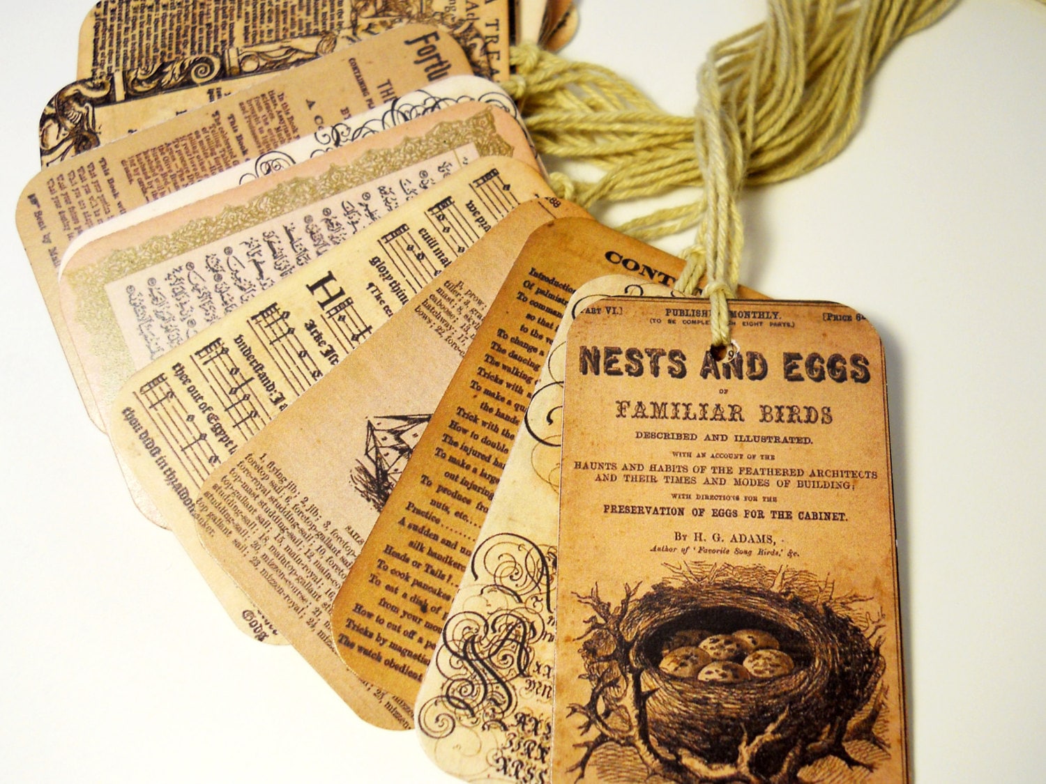 10 Pcs. BOOK PAGE TAGS Vintage-inspired Gift Tags With - Etsy