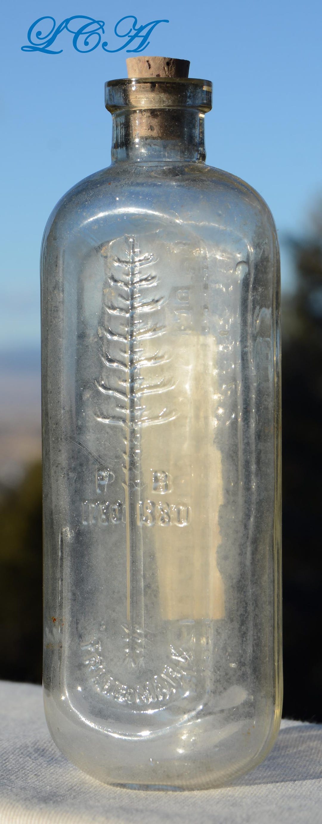 Antique TREE of LIFE - Blood Vitalizer Patent Medicine Bottle - Dated ...